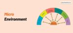 What Is Micro Environment? - All You Need To Know - RWB