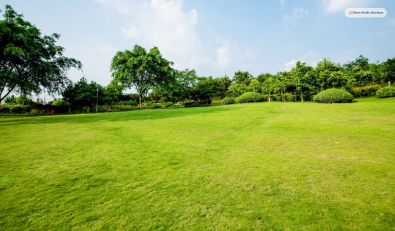 1250 Property: What Is It, Function, Importance, and More