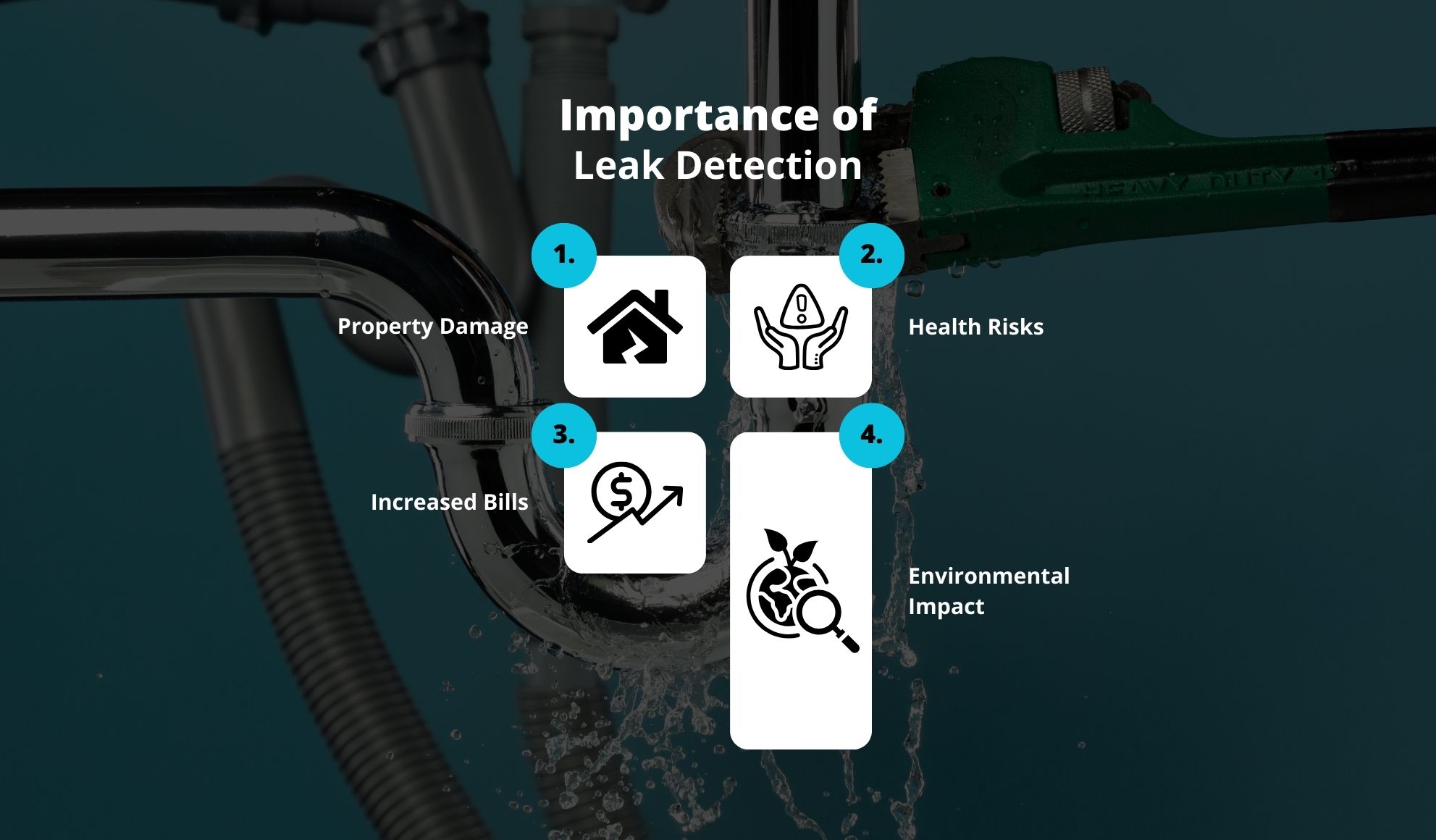 How To Choose The Best Tampa Leak Detection Company?